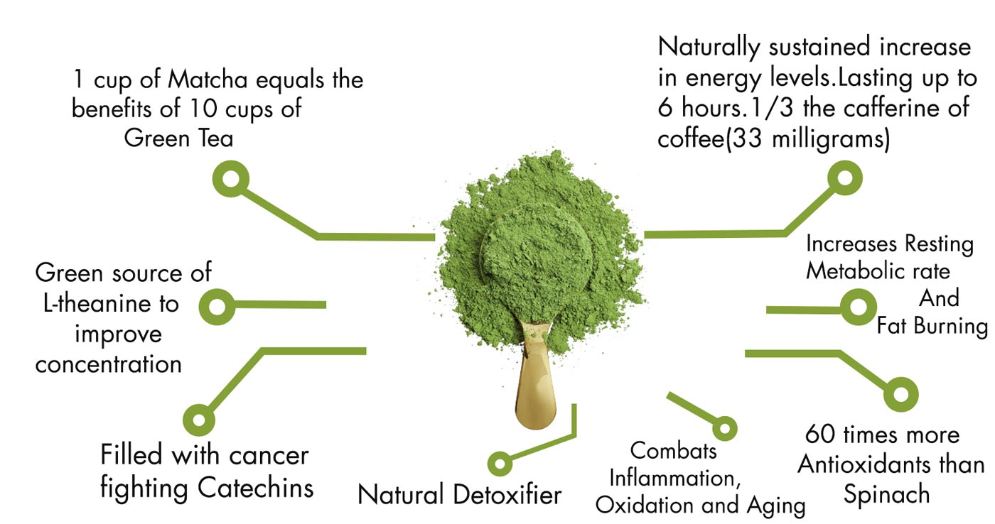 Health Benefits of Matcha – SAYURI